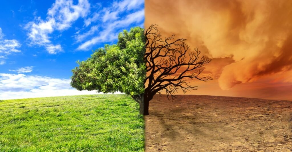 Šta su klimatske promjene? Saznajte kako one utiču na vaš svijet